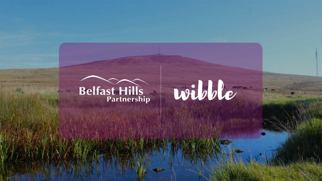 Web Design Belfast | Wibble | Belfast WordPress developers & hosting