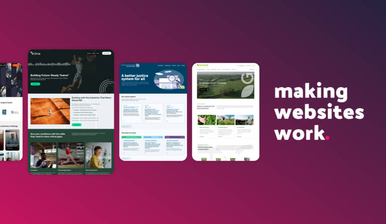 Web Design Belfast | Wibble | Belfast WordPress developers & hosting